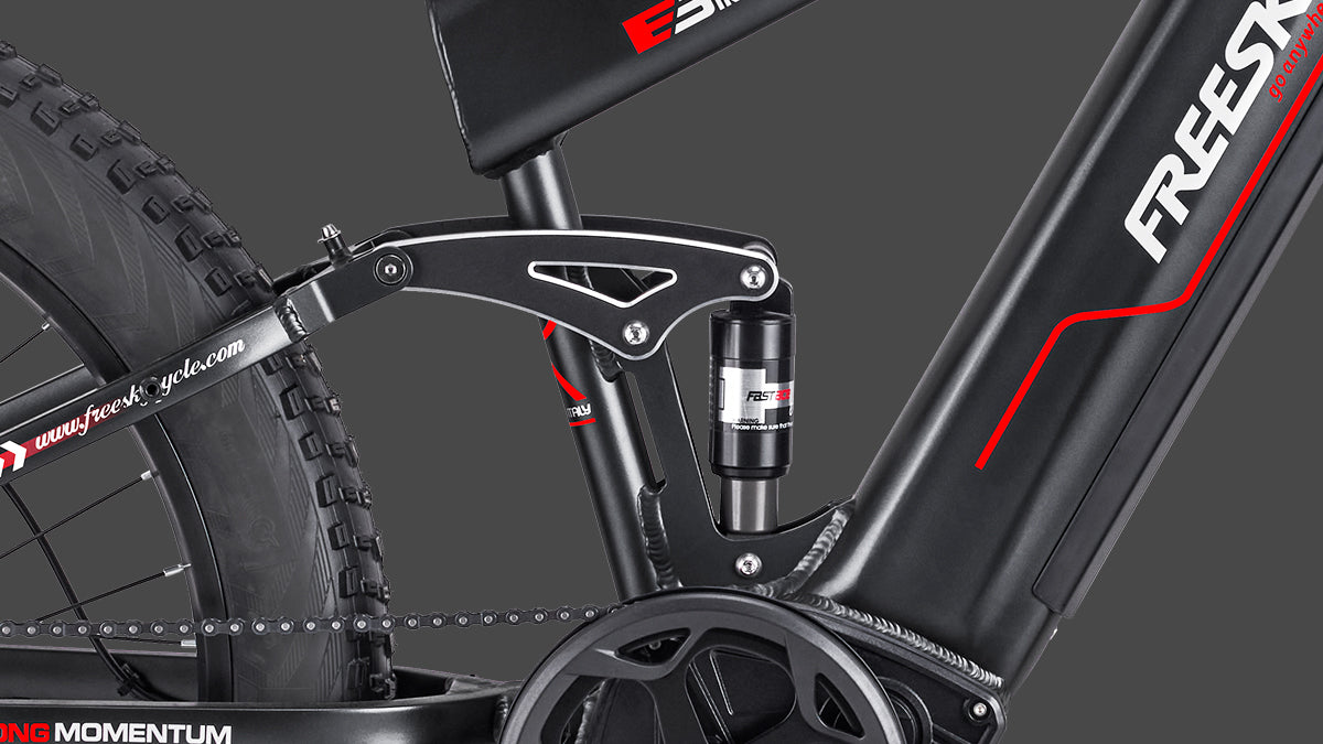 Dual Battery 48V 41Ah All-terrian Electric Bike | Alaska Pro M-520 ...