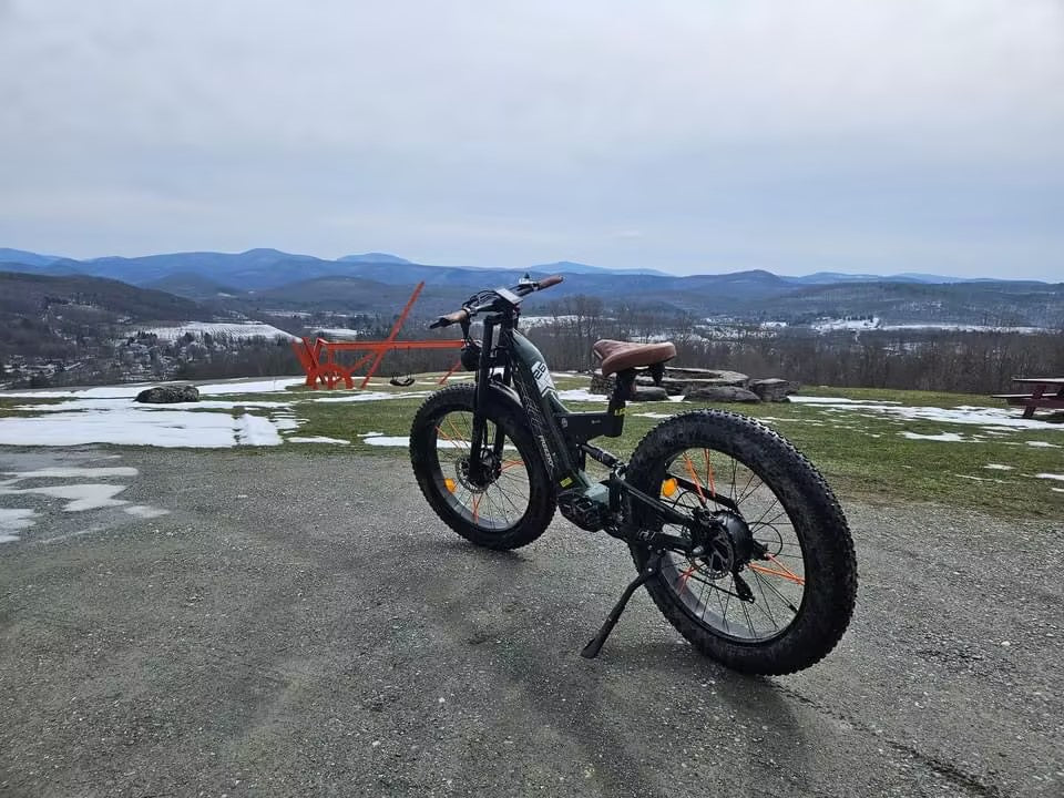 Dual Motor Electric Mountain Bike | Freesky Electric Bike Warrior Pro M ...